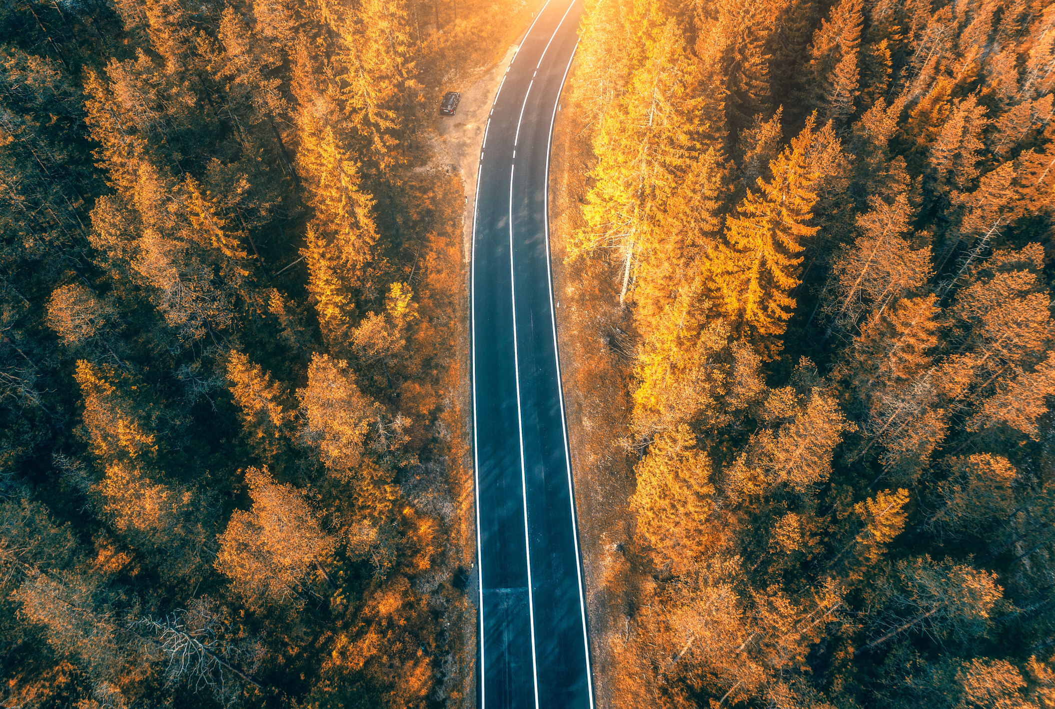 Brightmile app updates - Autumn 2020